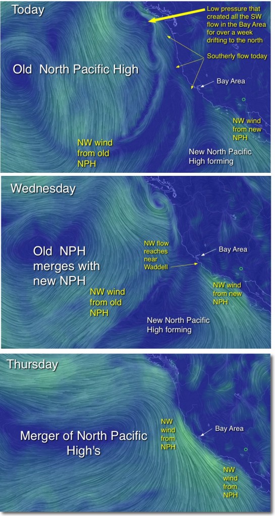 The North Pacific High's surface NW winds return... - Blog.WeatherFlow.com
